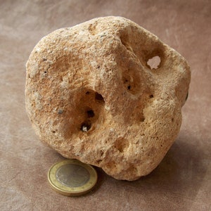 Natural Limestone With Holes; Decorative Sea Rock Stone; Big Hag Stone ...