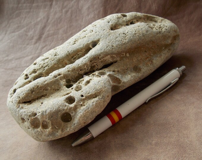 Natural Limestone Rock Large Fish Stone With Holes - Etsy