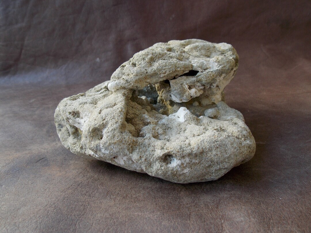 Natural Limestone Rock; Fish Tank Stone With Holes; Decorative Surf ...