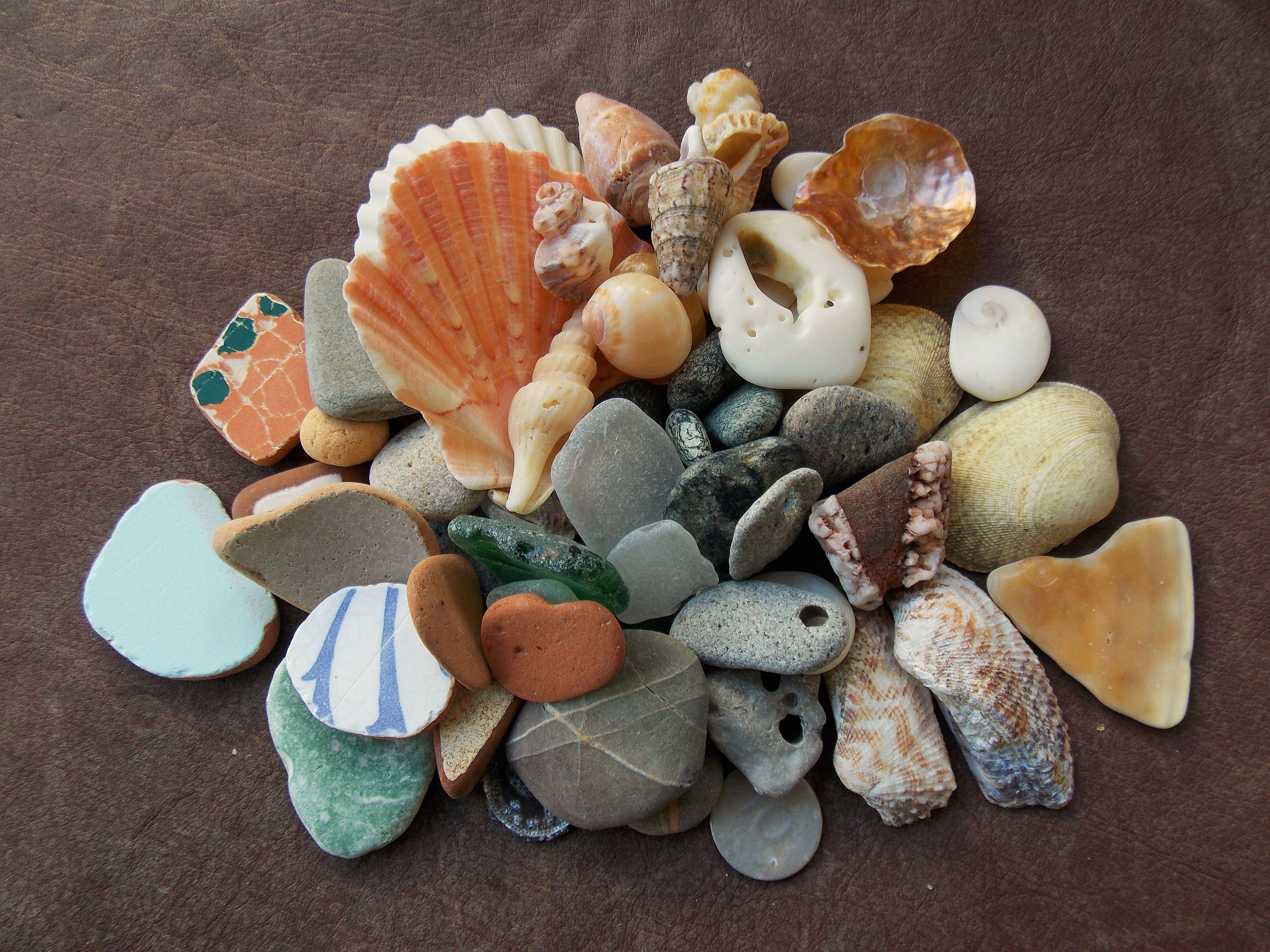 Beach Washed Mermaid Treasures Surf Tumbled Sea Glass Shells | Etsy