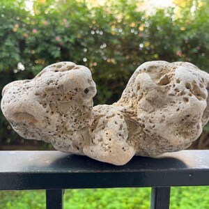 Large Natural Limestone Beach Rock for Aquarium Fish Tank Terrarium ...