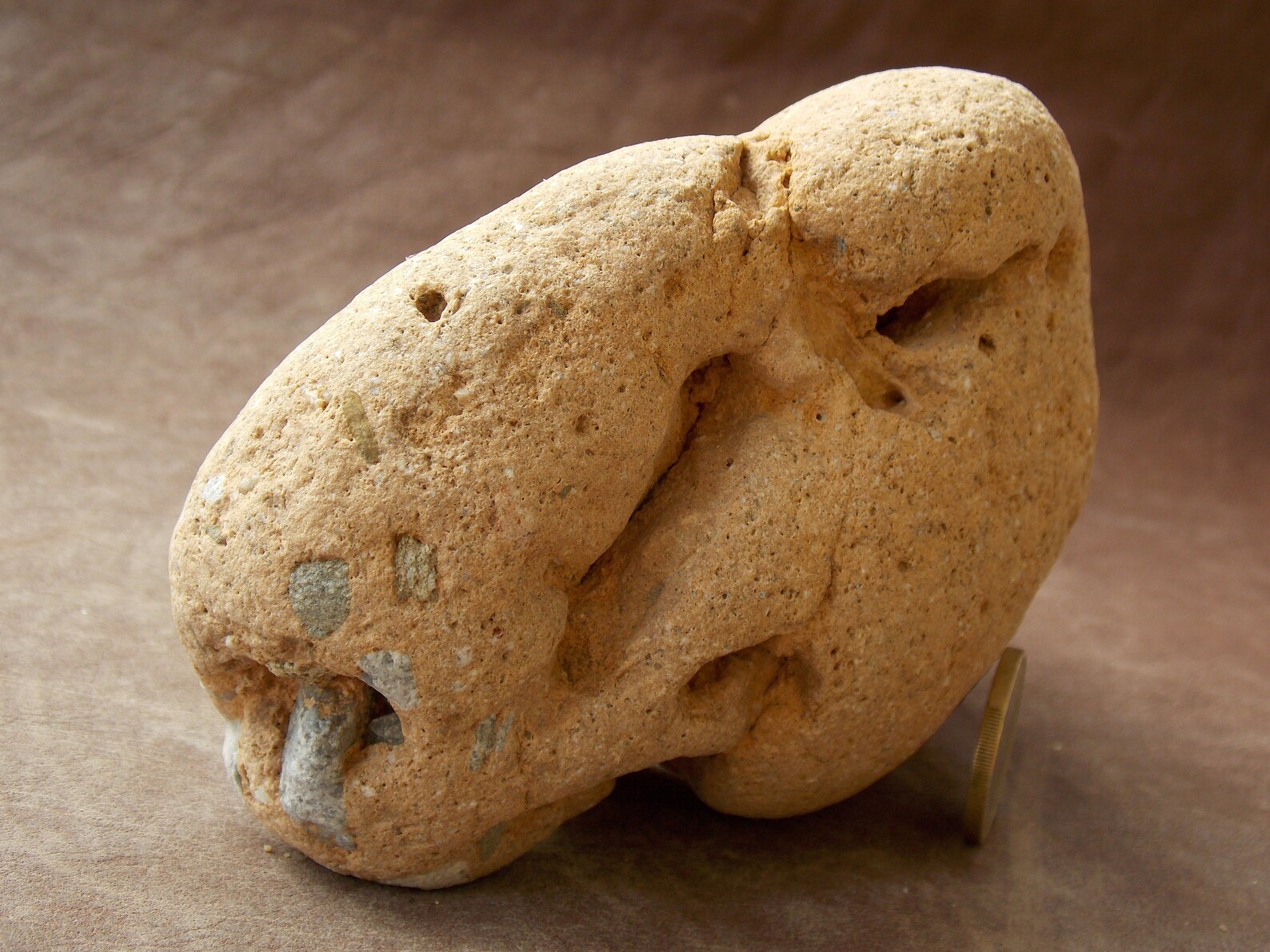 Natural limestone rock large fish stone with holes | Etsy