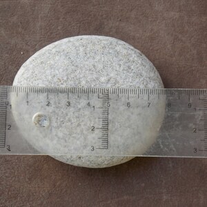 Big Oval Round Shaped Beach Rock for Mandala Painting; Surf Tumbled Sea ...