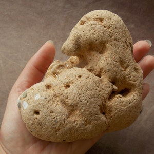 Natural limestone rock large fish stone with holes | Etsy