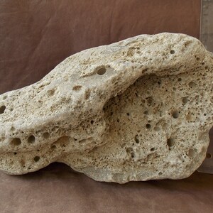 Large Natural Limestone Beach Rock for Aquarium Fish Tank | Etsy