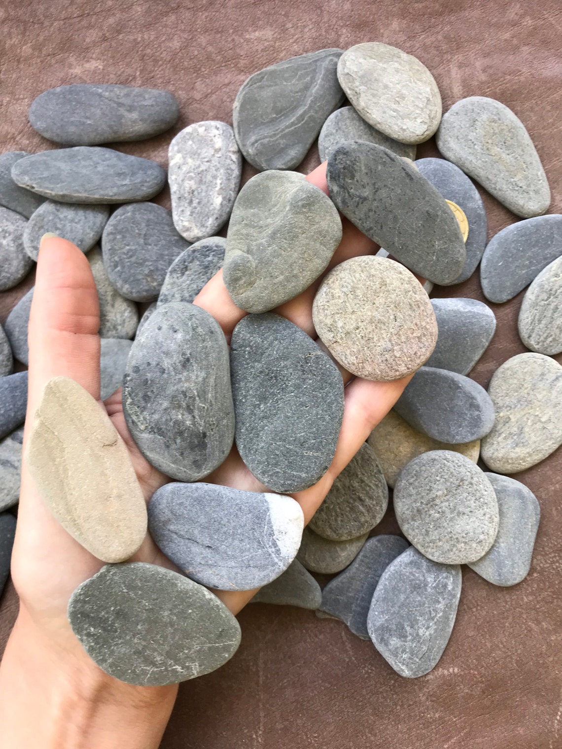 Bulk Flat Mediterranean Slate Rocks Small to Big Thin Grey | Etsy