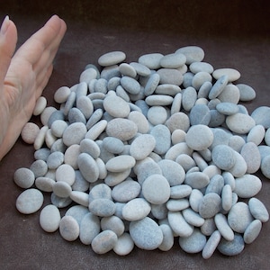 Bulk 200+ Smooth Flat Beach Rocks for Pebble Art & Crafts; Oval and ...