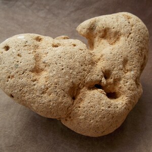 Natural limestone rock large fish stone with holes | Etsy