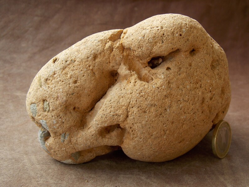 Natural limestone rock large fish stone with holes | Etsy