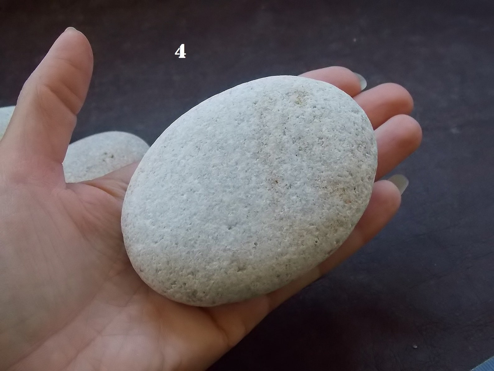 Smooth Big Oval Shaped White Mediterranean Beach Rocks for | Etsy