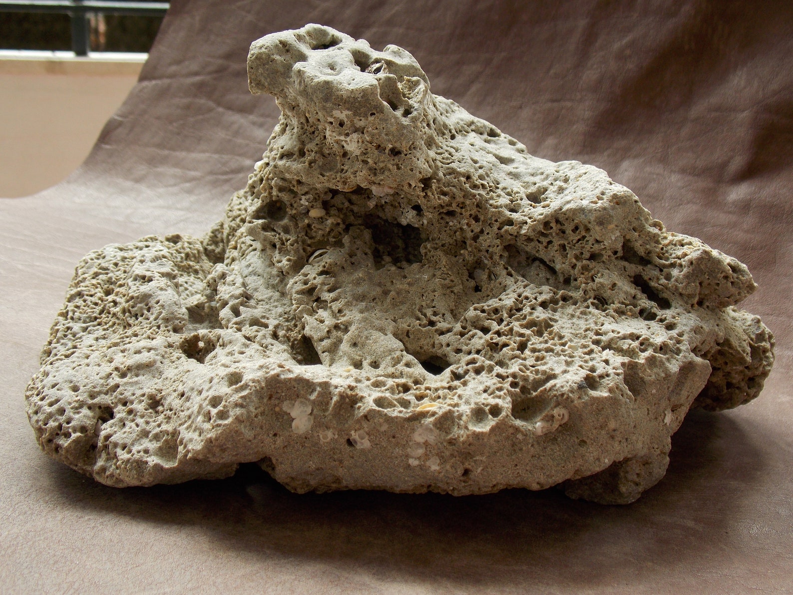 Large Natural Limestone for Aquarium Fish Tank Decor Big Sea - Etsy