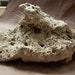 Large Natural Limestone for Aquarium Fish Tank Decor Big Sea Rock With ...
