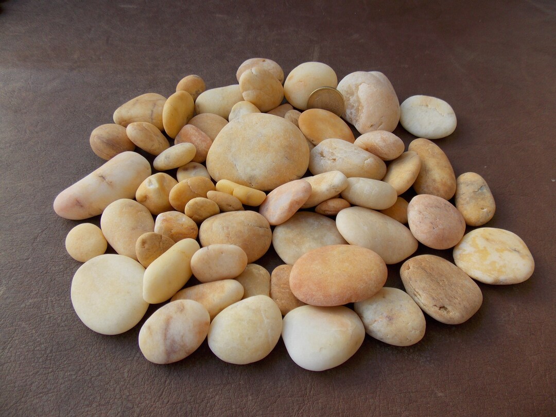 Yellow Quartz Beach Pebbles: Aquarium & Garden Decor - Etsy