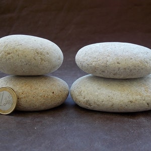 Smooth Big Oval Shaped White Mediterranean Beach Rocks for Mandala ...