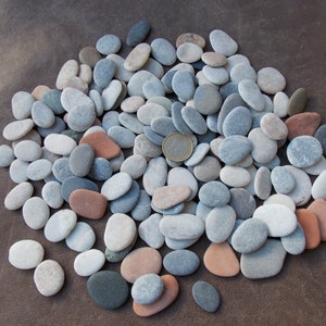 150 Small Oval and Round Mediterranean Sea Stones for Pebble - Etsy