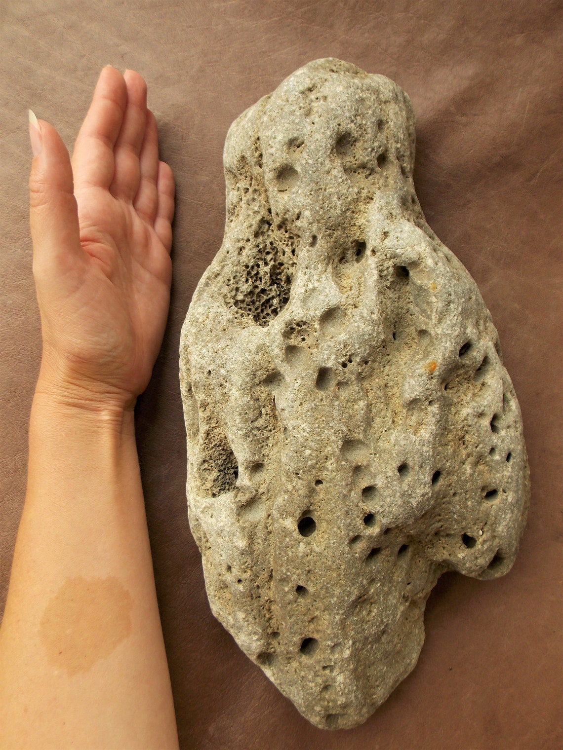 Large Natural Limestone Beach Rock for Aquarium Fish Tank | Etsy