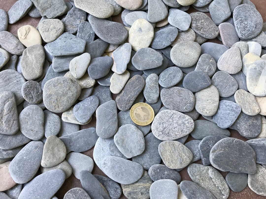 Surf Tumbled Slate Pebbles: Flat Grey Sea Stones for Art & Aquarium - Etsy