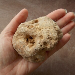 Natural Limestone With Holes; Decorative Sea Rock Stone; Big Hag Stone ...