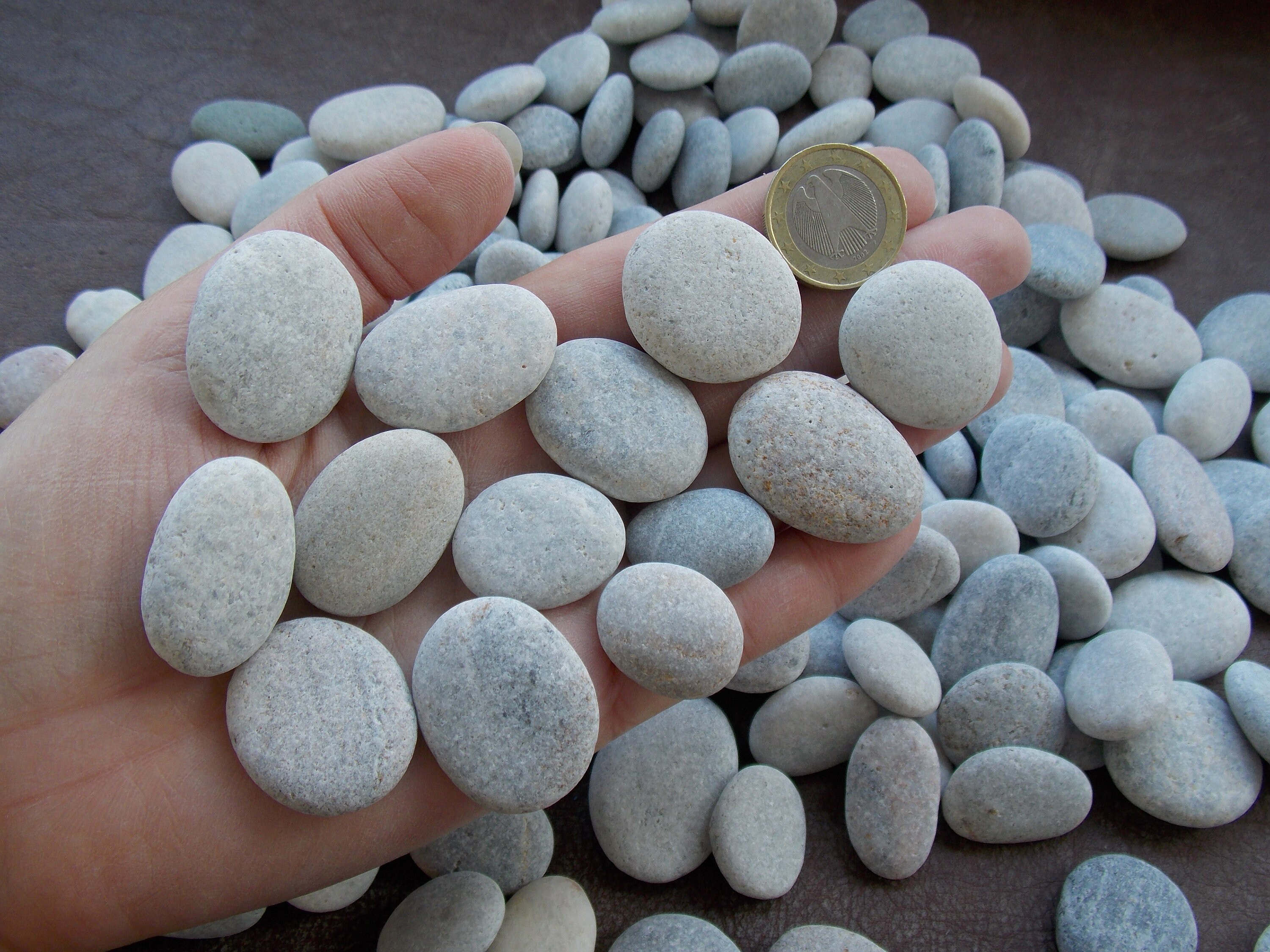 Bulk 200 Smooth Flat Beach Rocks for Pebble Art & Crafts - Etsy