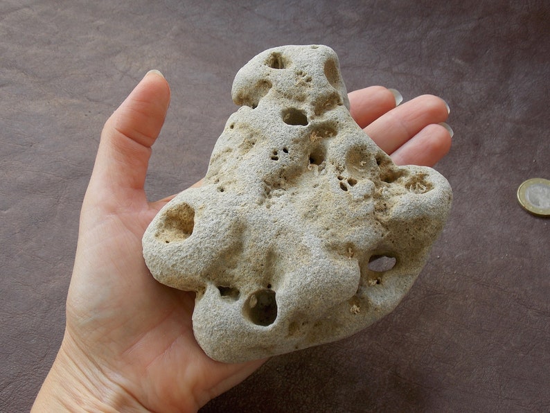 Natural limestone rock large fish stone with holes | Etsy