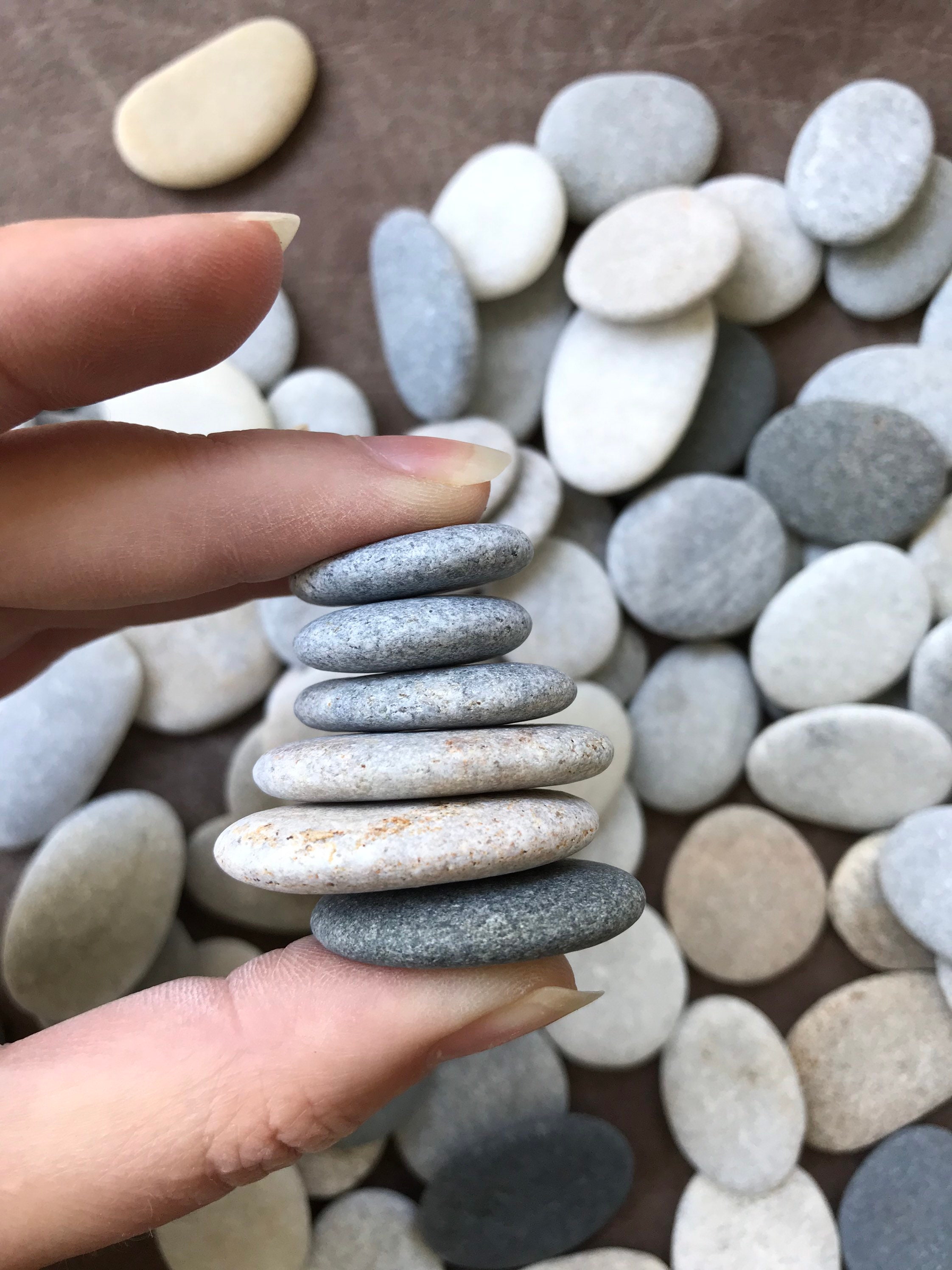 Well-chosen Smooth Oval Beach Stones for Pebble Art Painting | Etsy