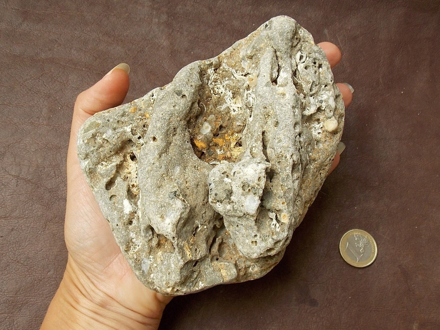 Gran piedra caliza natural Piedra de acuario con agujeros | Etsy