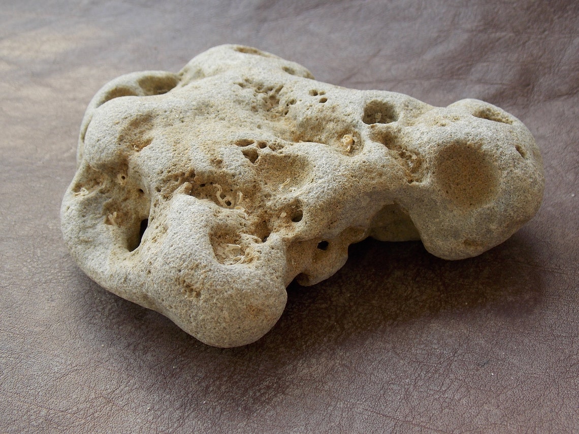 Natural limestone rock large fish stone with holes | Etsy