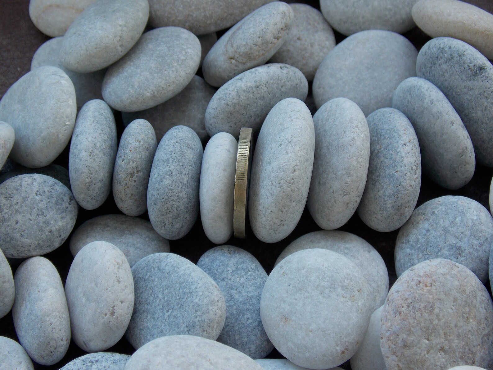 Bulk 200 Smooth Flat Beach Rocks for Pebble Art & Crafts - Etsy