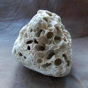 Large Natural Rock With Vesicles Beach Stone for Aquarium Fish Tank ...