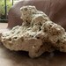 Large Natural Limestone for Aquarium Fish Tank Decor Big Sea Rock With ...