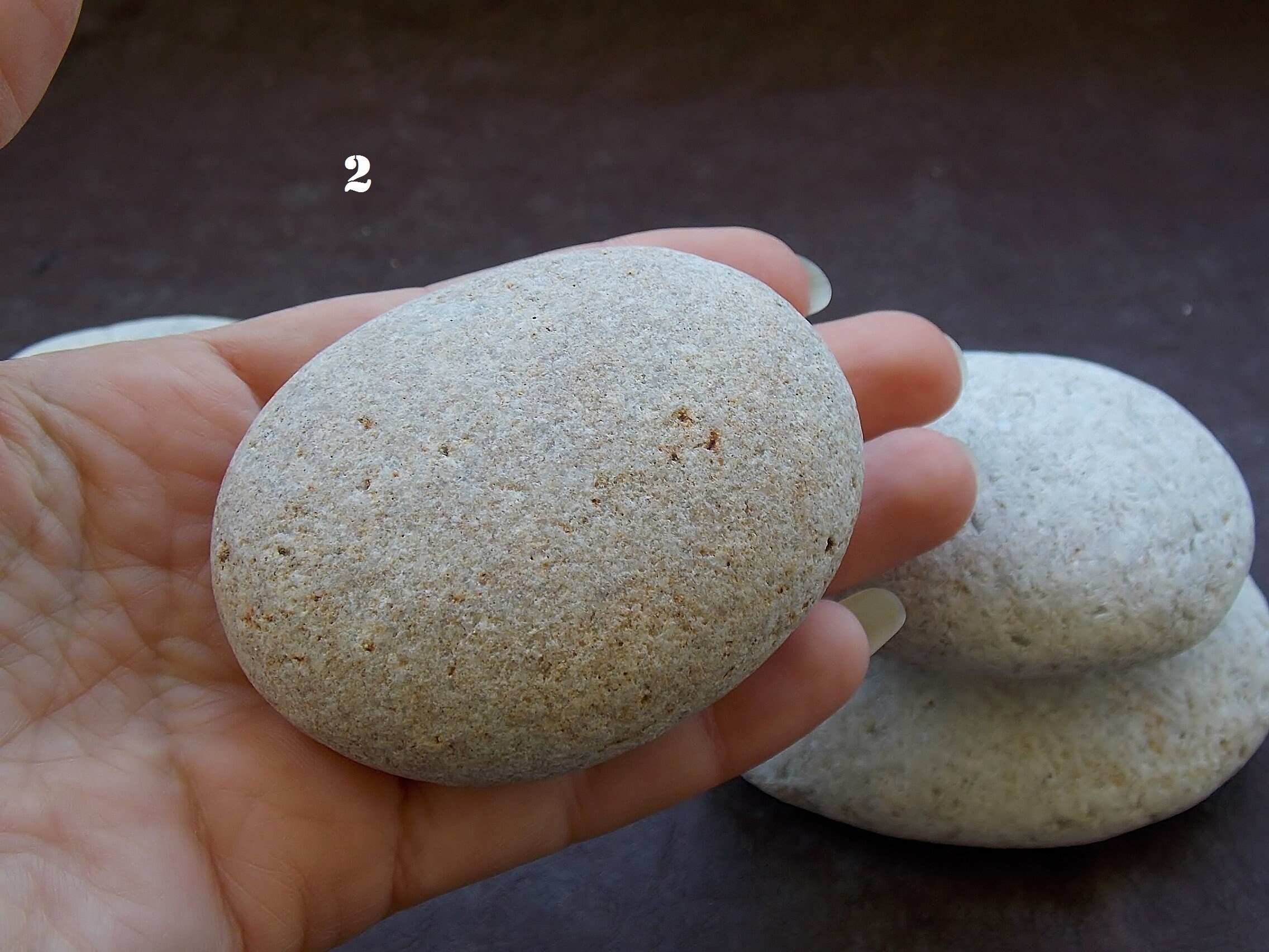 Smooth Big Oval Shaped White Mediterranean Beach Rocks for | Etsy