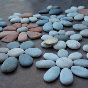 100 Flat Thin Beach Rocks for Craft Pebble Art DIY Projects - Etsy