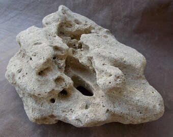 Large Natural Limestone Beach Rock for Aquarium Fish Tank Terrarium ...