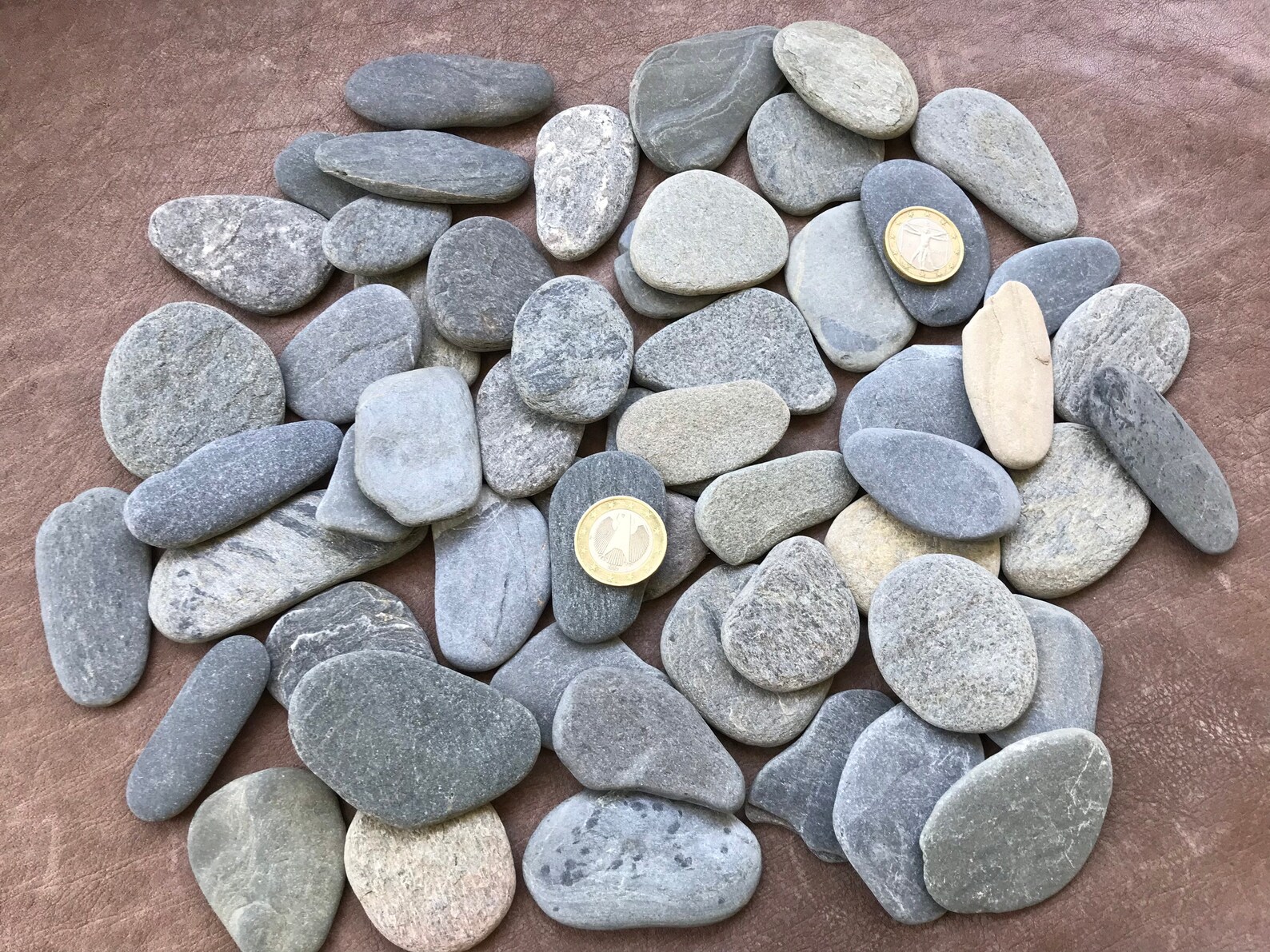 Bulk Flat Mediterranean Slate Rocks Small to Big Thin Grey | Etsy