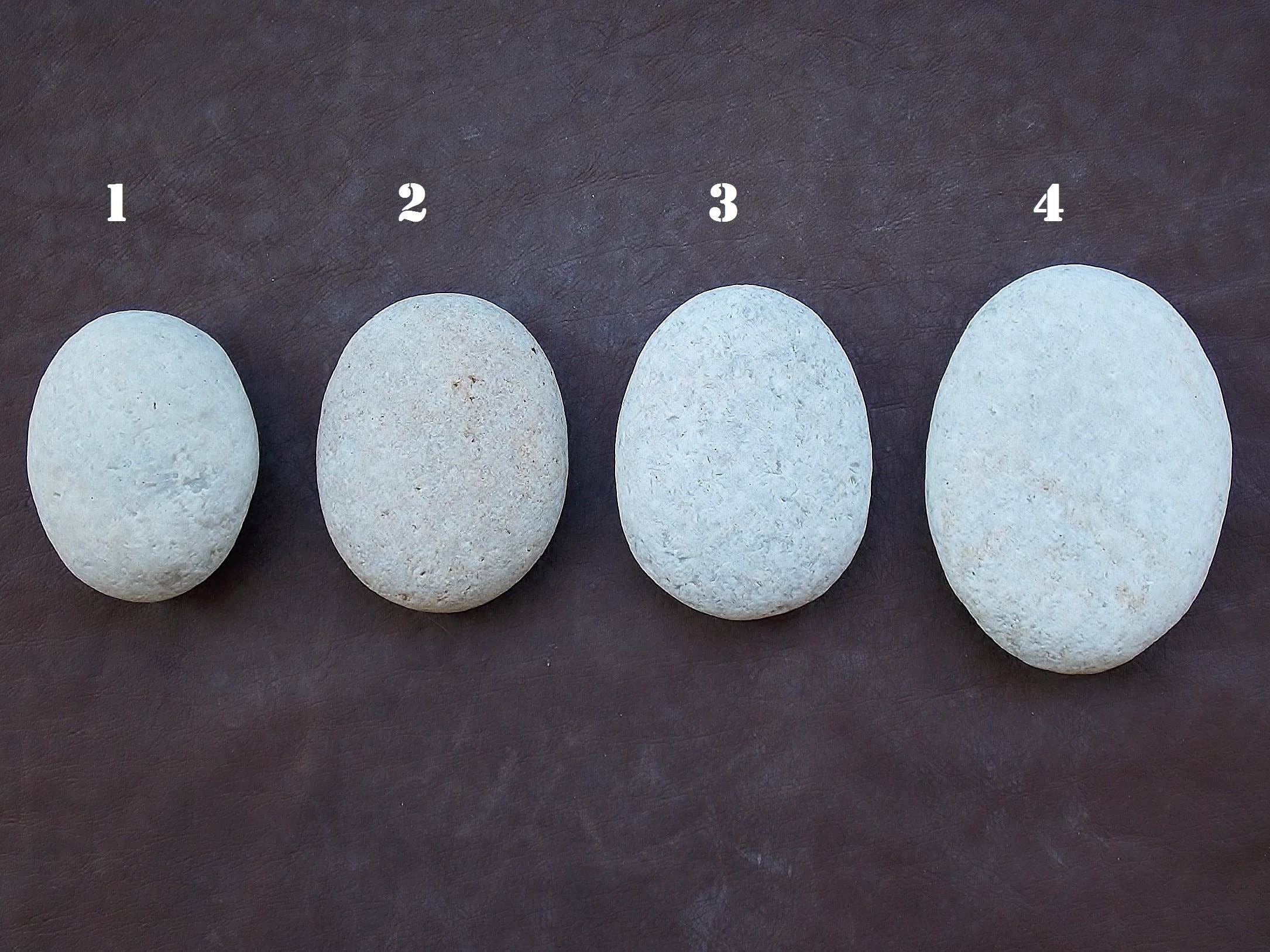 Smooth Big Oval Shaped White Mediterranean Beach Rocks for | Etsy