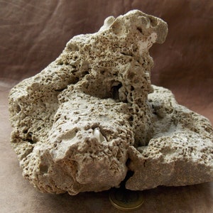 Large Natural Limestone for Aquarium Fish Tank Decor Big Sea Rock With ...