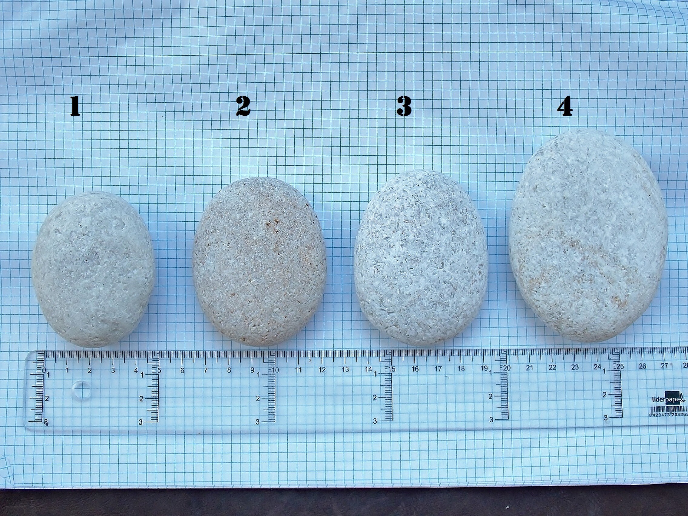 Smooth Big Oval Shaped White Mediterranean Beach Rocks for | Etsy