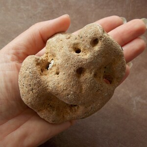 Natural Limestone With Holes; Decorative Sea Rock Stone; Big Hag Stone ...