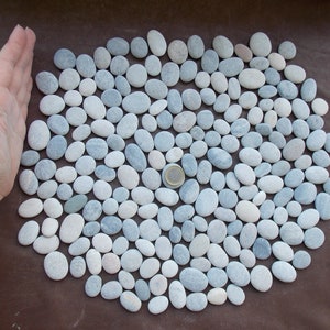 Bulk 200+ Smooth Flat Beach Rocks for Pebble Art & Crafts; Oval and ...