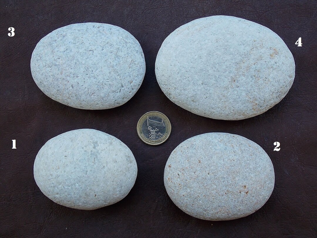 Smooth Big Oval Shaped White Mediterranean Beach Rocks for Mandala ...