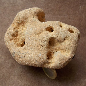 Natural Limestone With Holes; Decorative Sea Rock Stone; Big Hag Stone ...