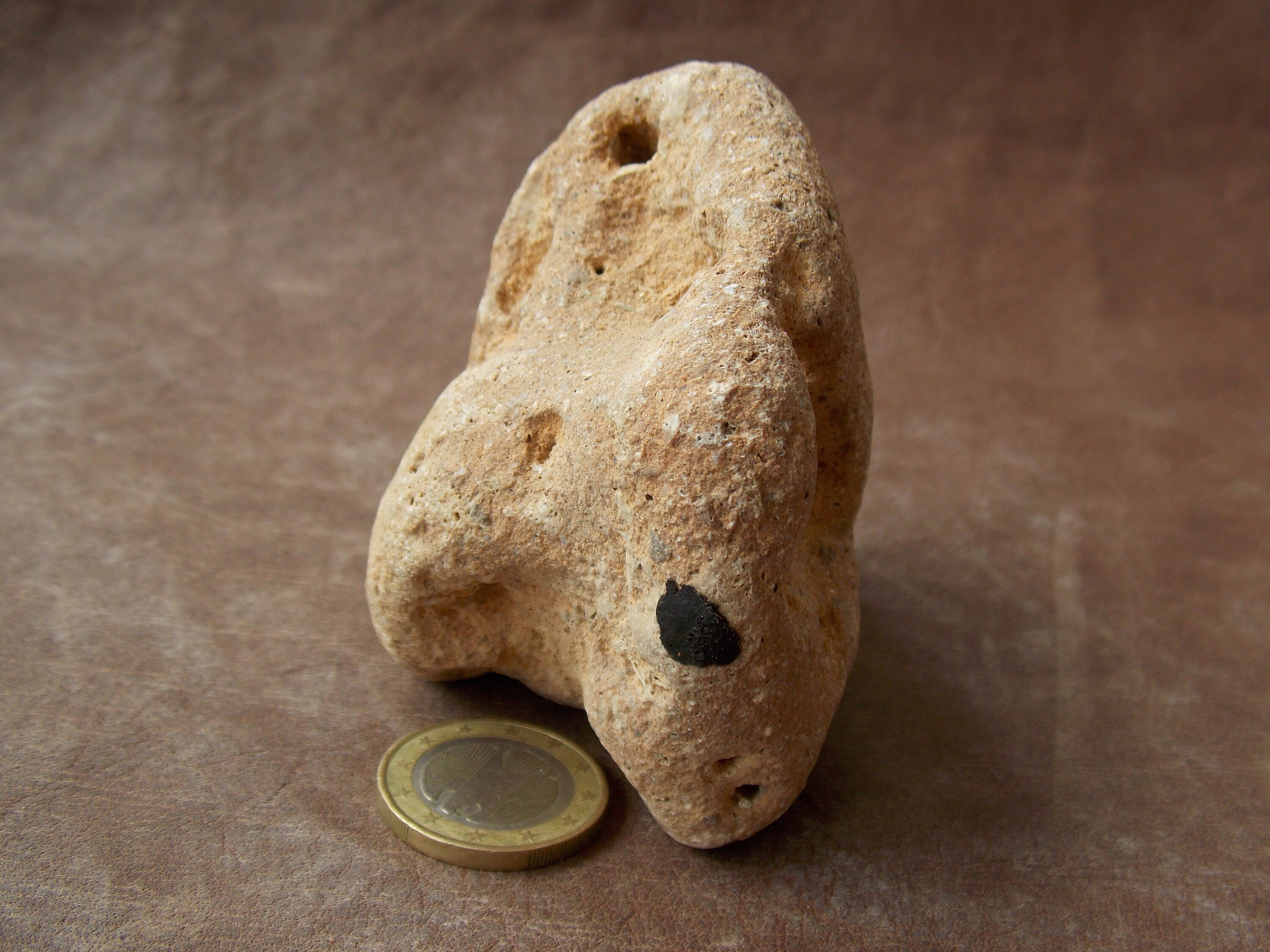 Natural Limestone With Holes Decorative Sea Rock Stone Big - Etsy