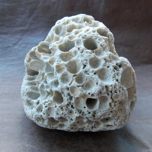 Large Natural Rock With Vesicles Beach Stone for Aquarium Fish Tank ...