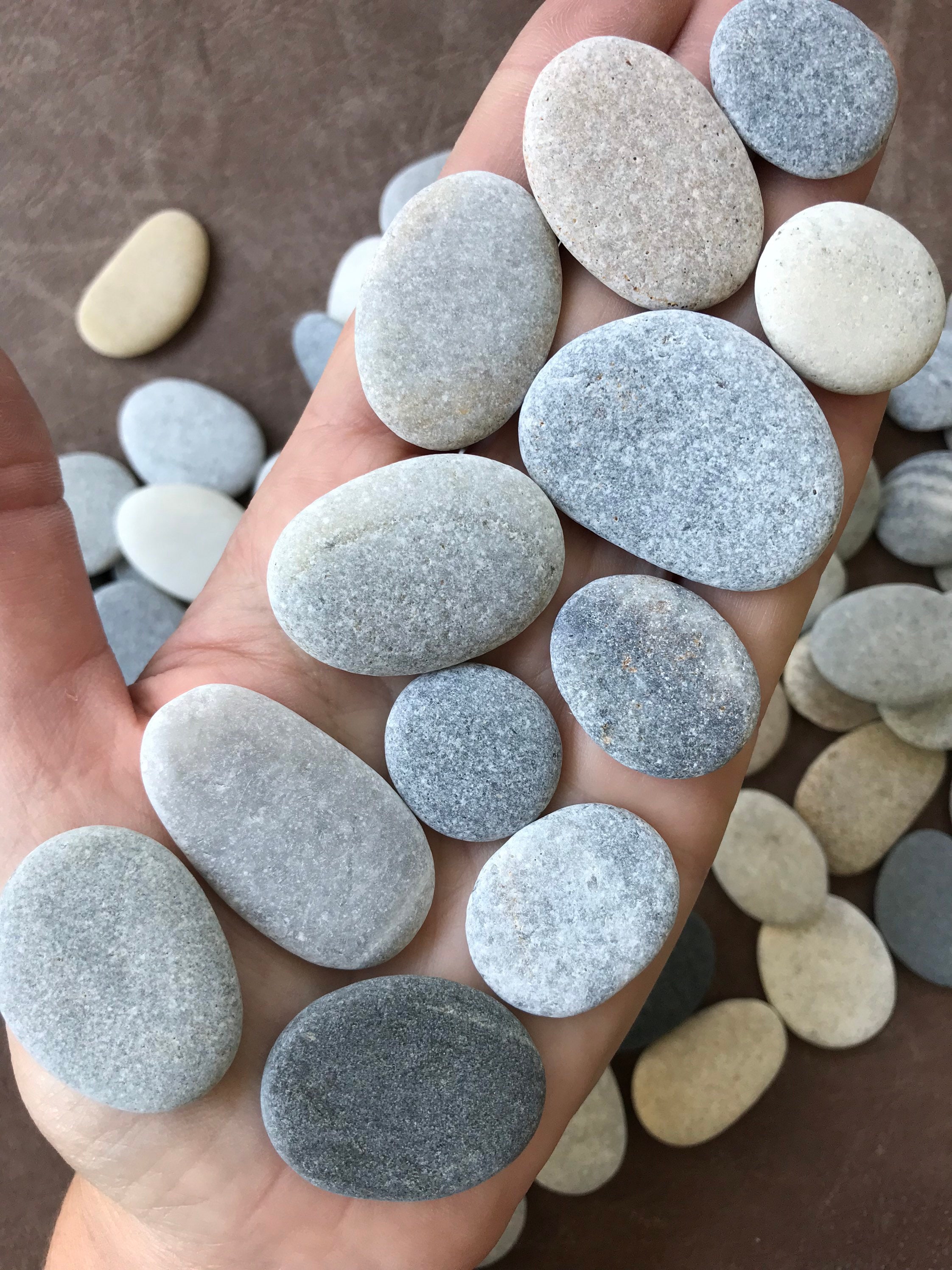 Well-chosen Smooth Oval Beach Stones for Pebble Art Painting | Etsy