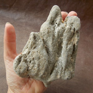 Natural Limestone Rock Fish Tank Stone With Holes Decorative - Etsy