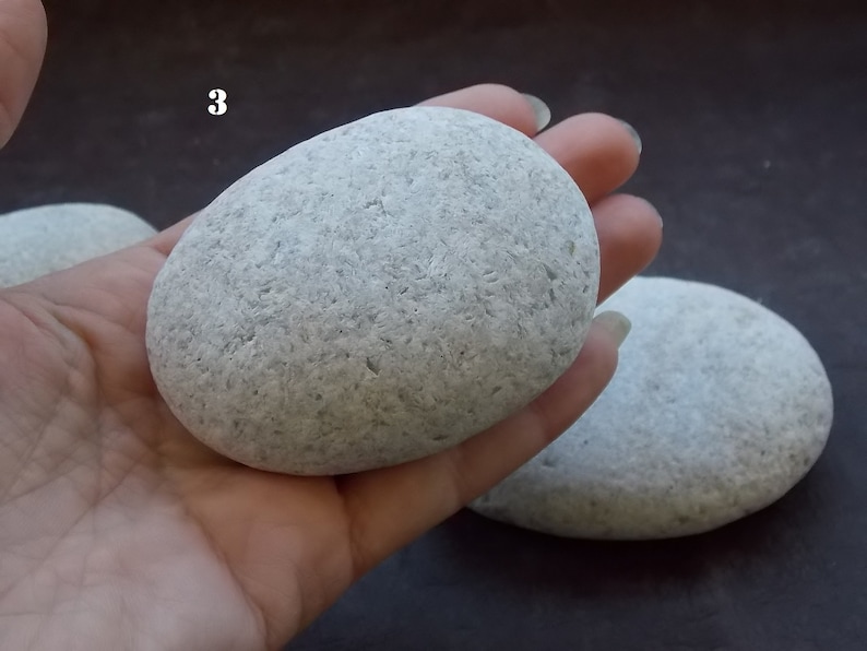 Smooth Big Oval Shaped White Mediterranean Beach Rocks for - Etsy