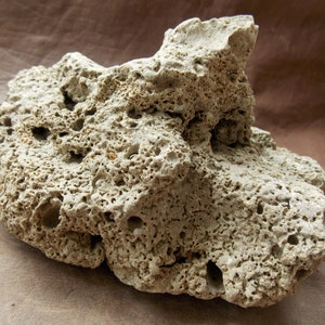 Large Natural Limestone for Aquarium Fish Tank Decor Big Sea Rock With ...