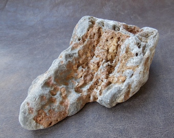 Natural Limestone Rock Fish Tank Stone With Holes Decorative Surf ...