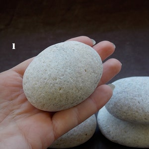 Smooth Big Oval Shaped White Mediterranean Beach Rocks for Mandala ...
