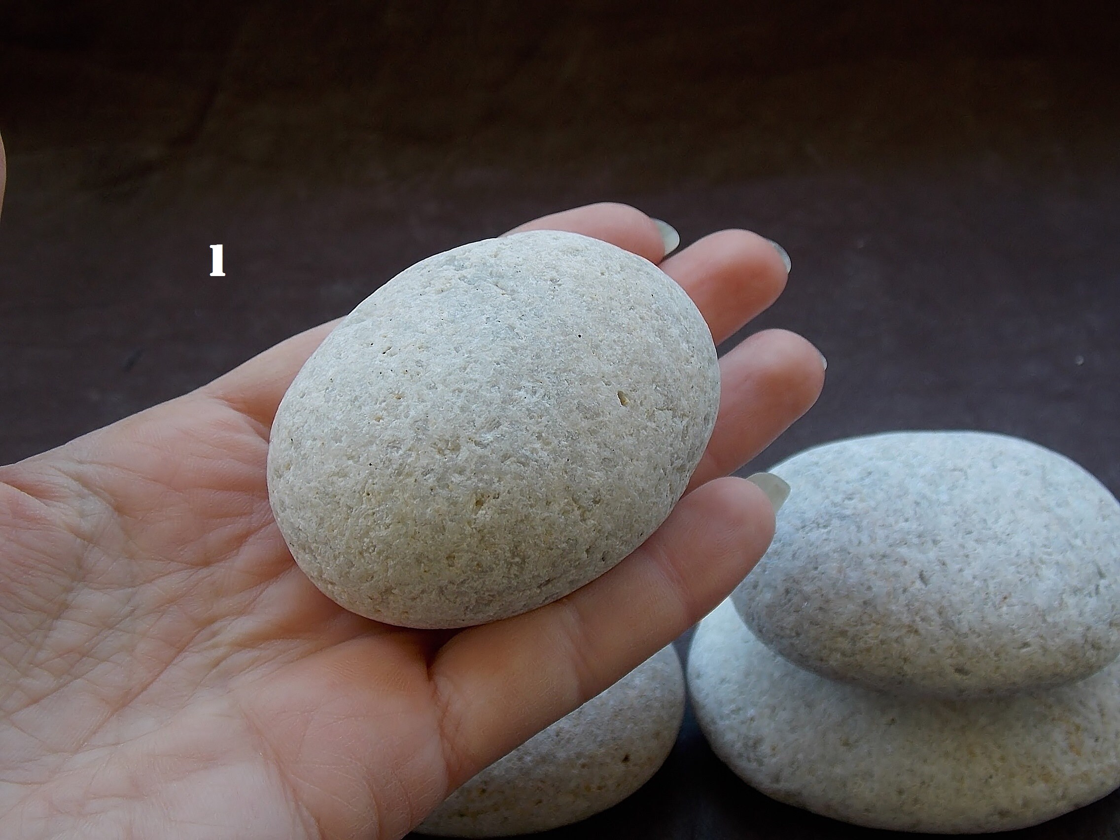 Smooth Big Oval Shaped White Mediterranean Beach Rocks for | Etsy